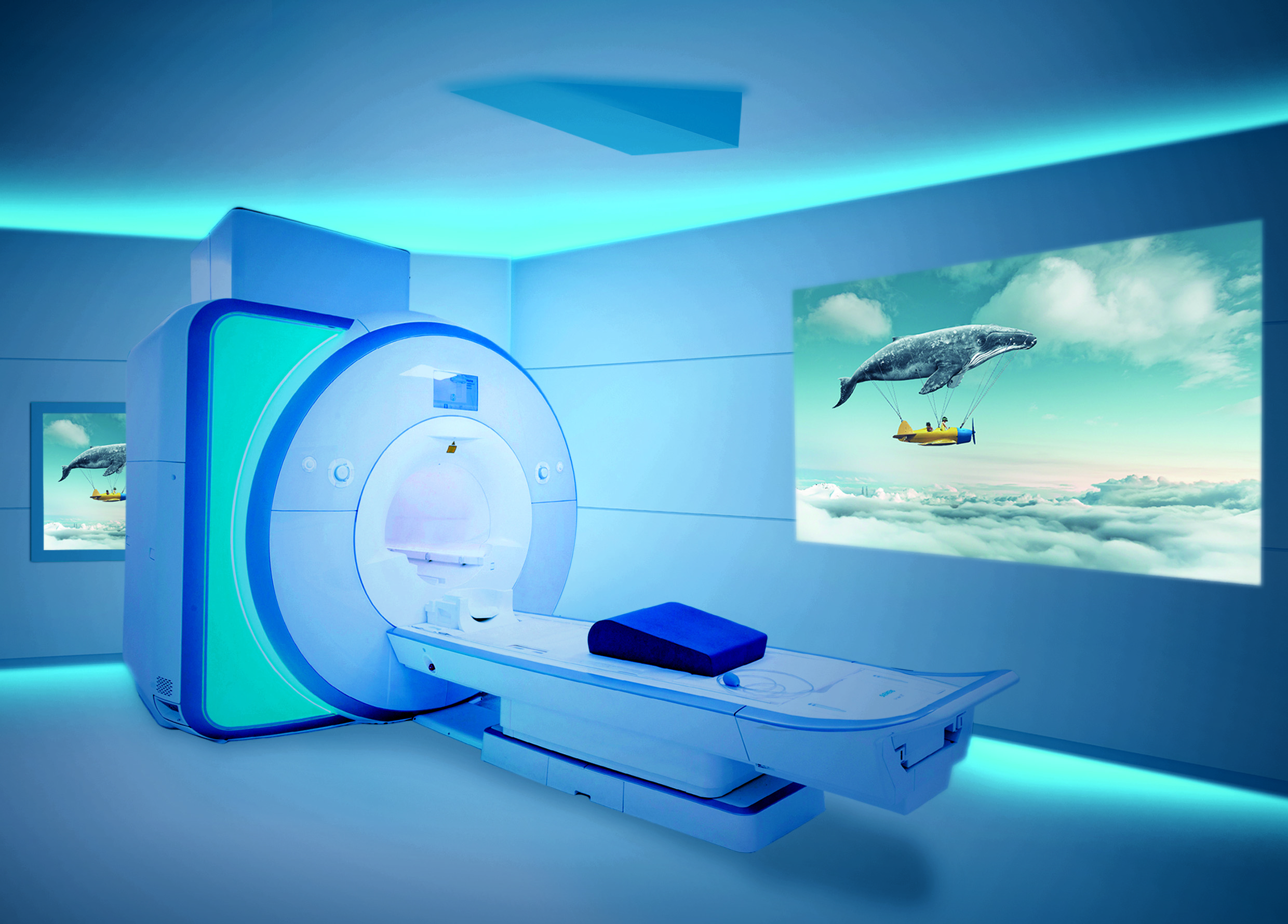 MRI Projector – Troyka MED